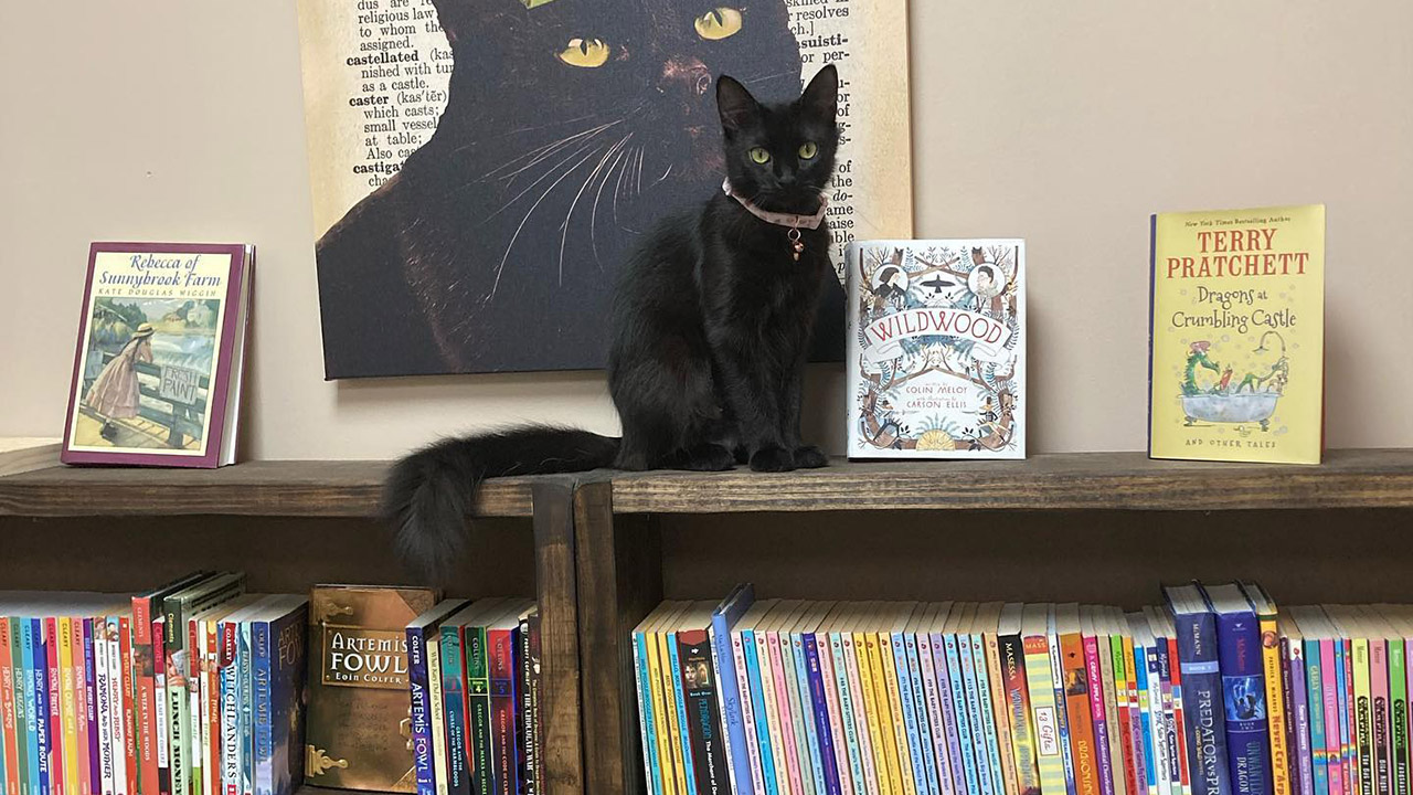 Back Again Bookshop | Visit Myrtle Beach