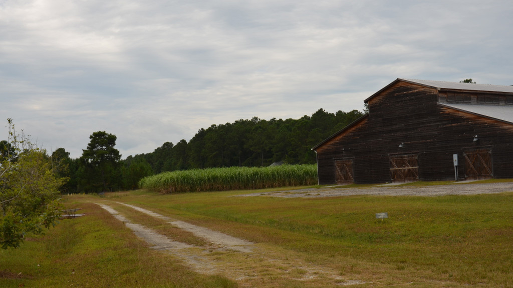 Freewoods Farm | Visit Myrtle Beach