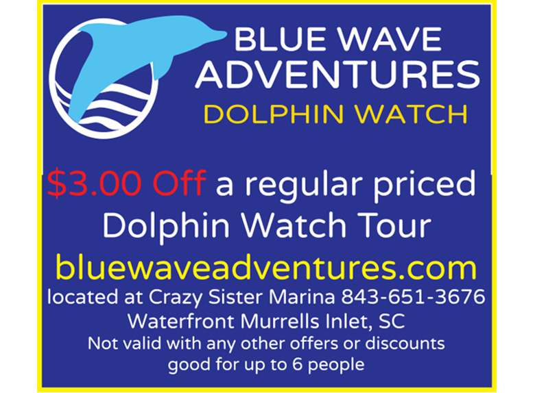 Blue Wave Adventures - $3 Off Regular Priced Dolphin Watch Tour | Visit ...